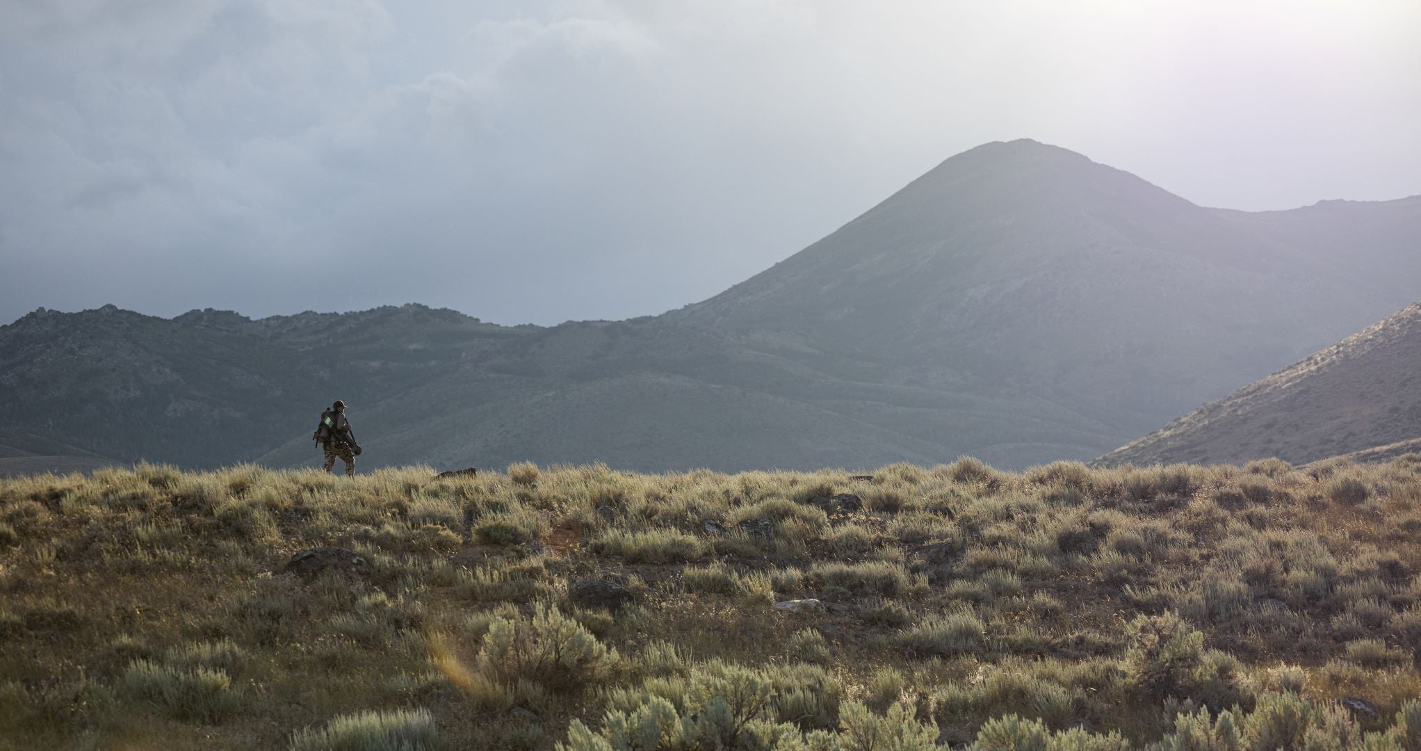 Bowhunting Preparation: Six Tips for Success – Remi Warren