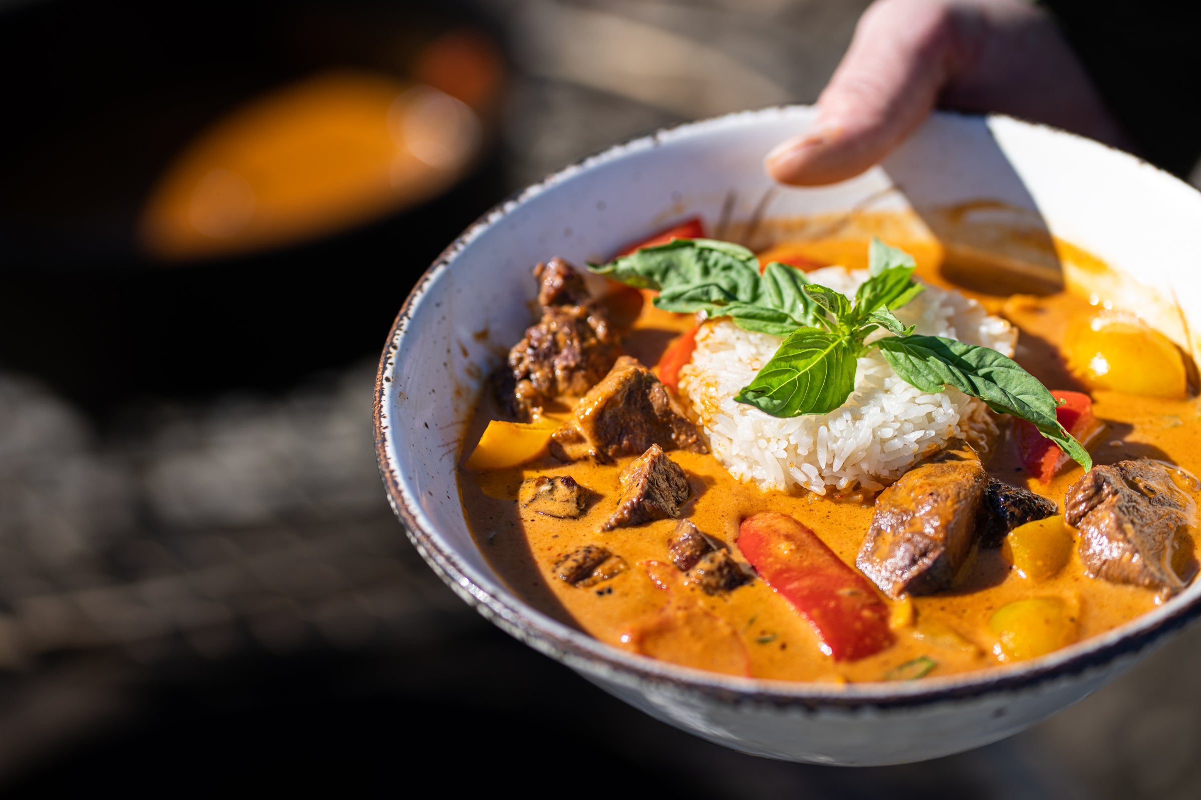 Wild Duck Thai Red Curry – Remi Warren