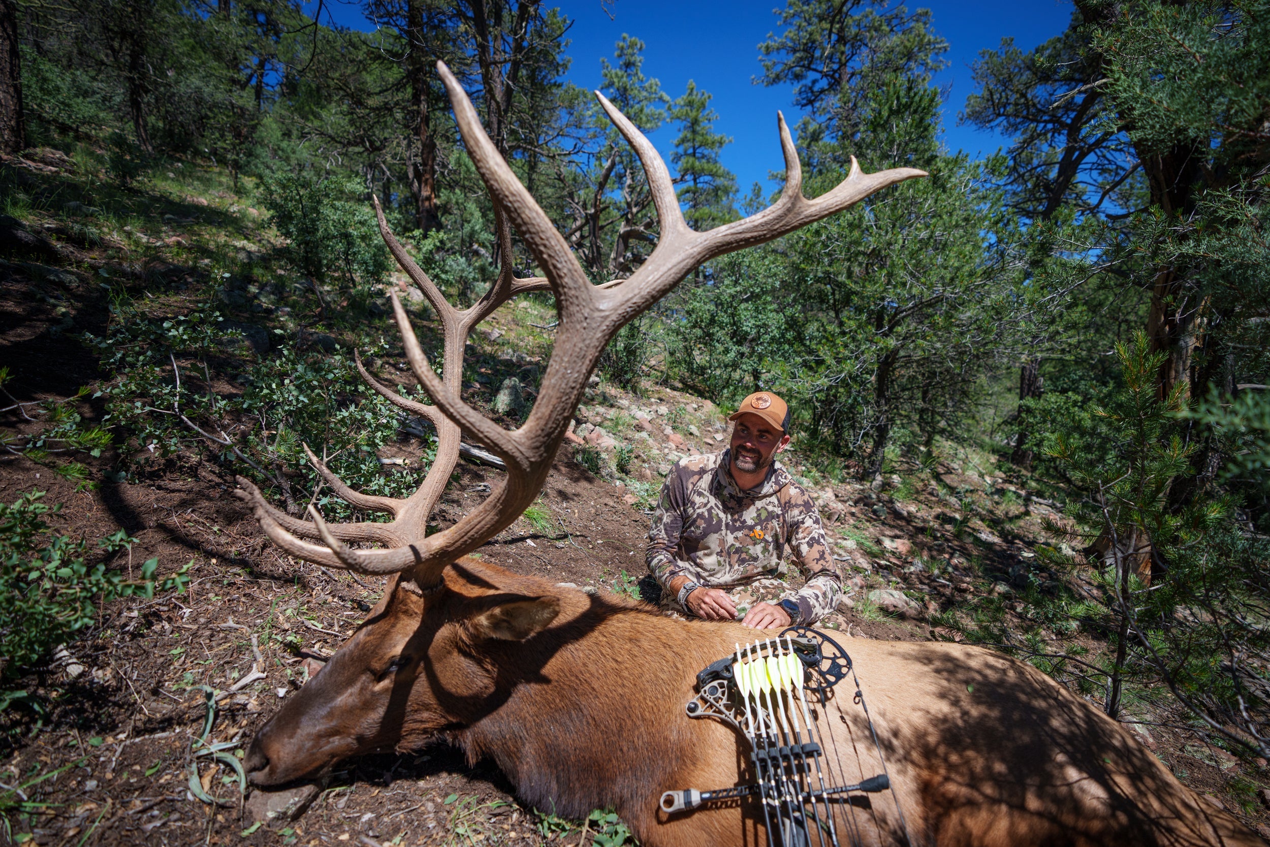 Practice Like You Hunt: Bowhunting Shots by Species – Remi Warren