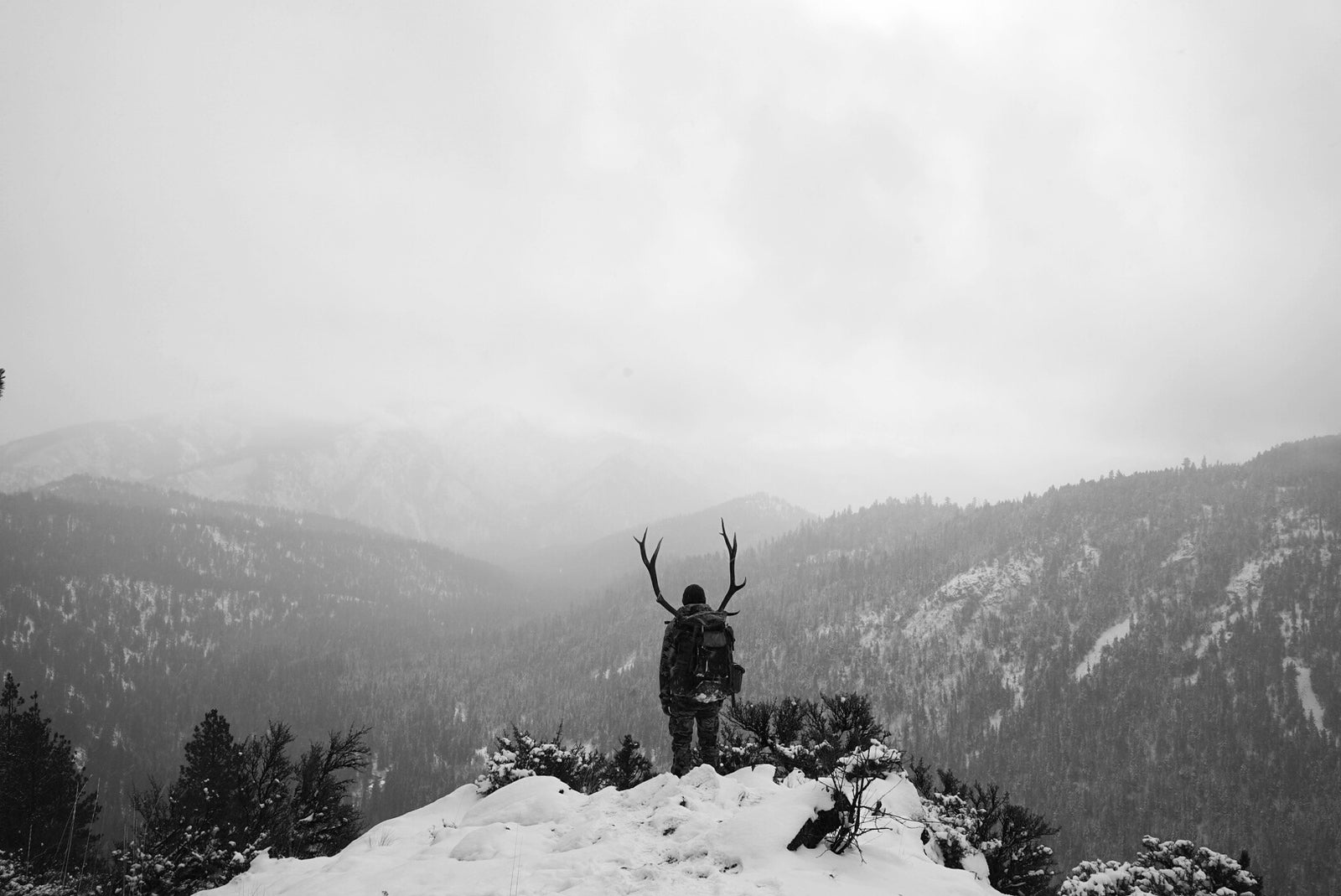 Backcountry Fuel – Remi Warren