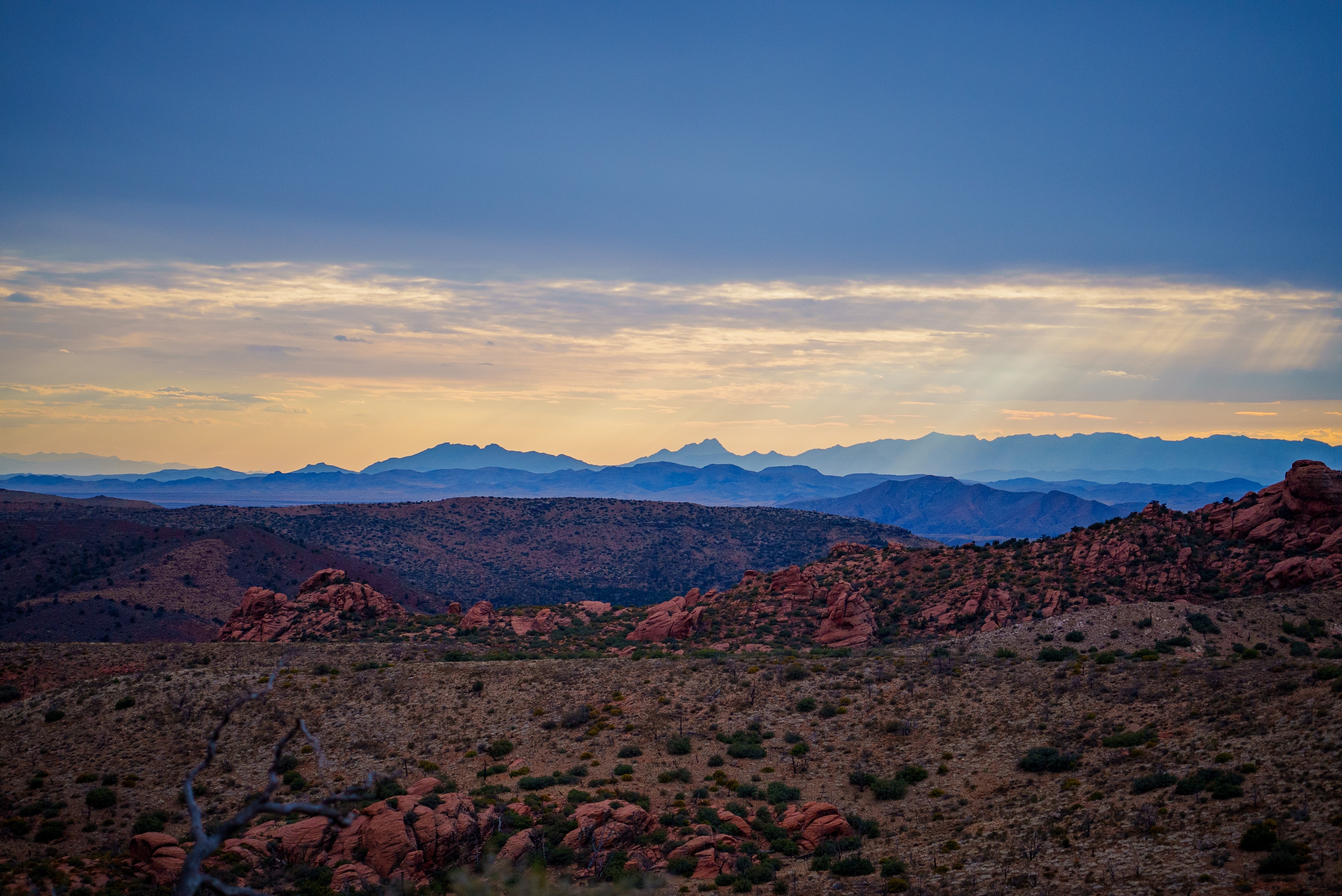 Remi's Bow Setup – Remi Warren