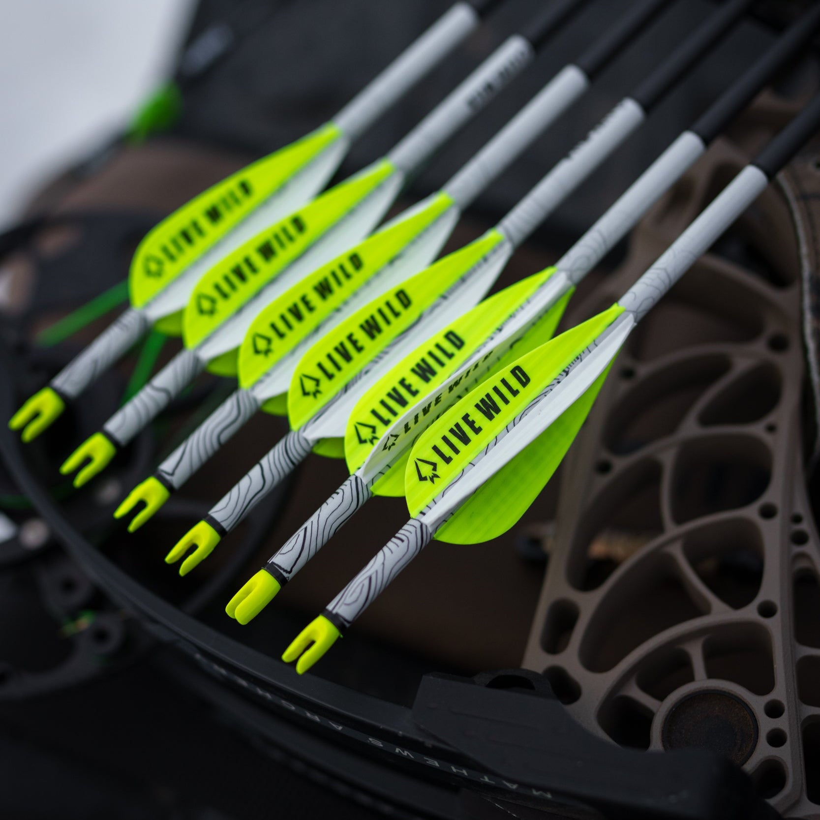 Remi Warren Live Wild HD Arrow - 1/2 Dozen